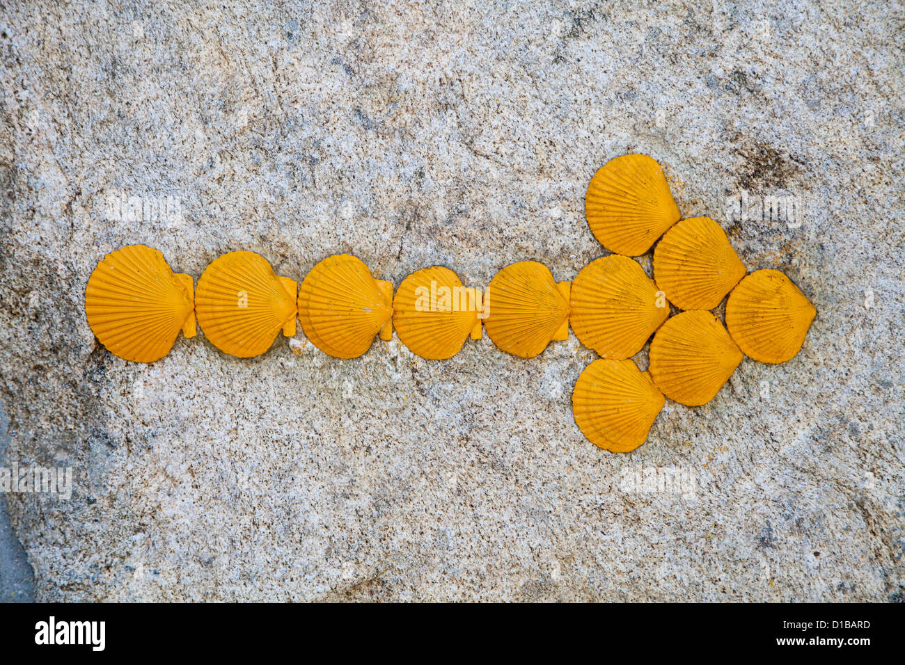 Scallop shell sign hi-res stock photography and images - Alamy
