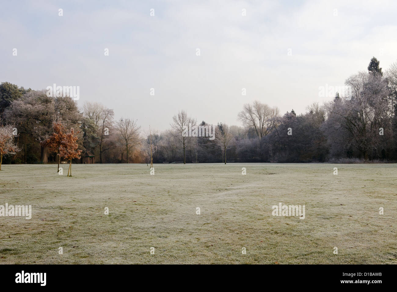 Solihull Parks, Brueton and Malvern during cold winter weather in frost ...