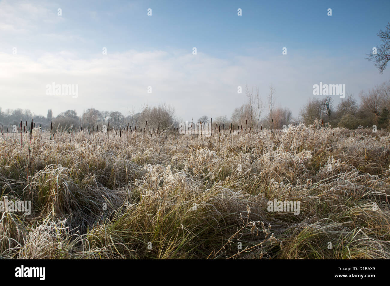 Solihull Nature Reserve behind Brueton and Malvern Parks in Solihull ...