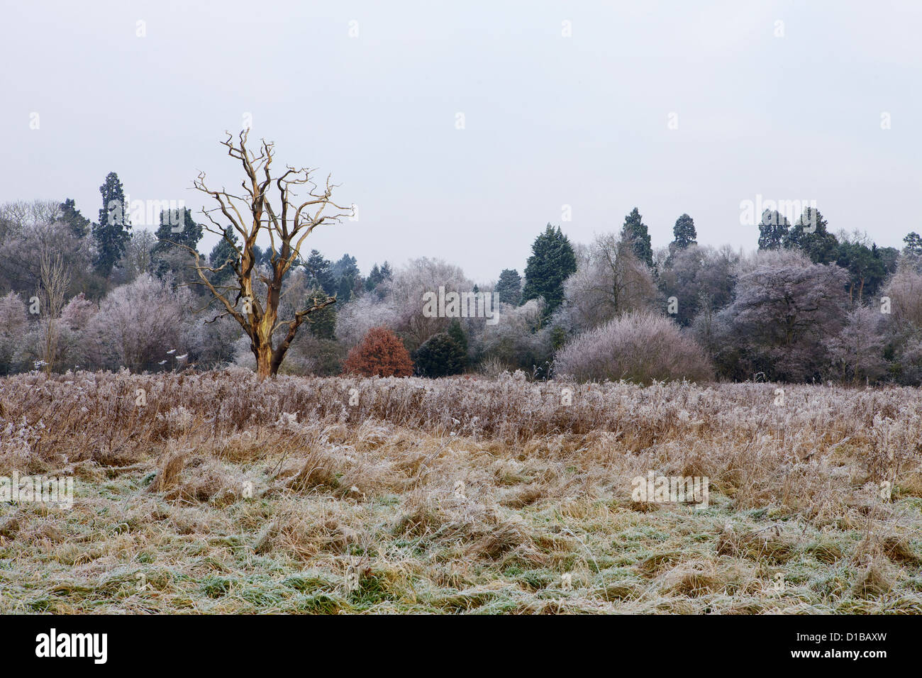 Solihull Nature Reserve behind Brueton and Malvern Parks in Solihull ...