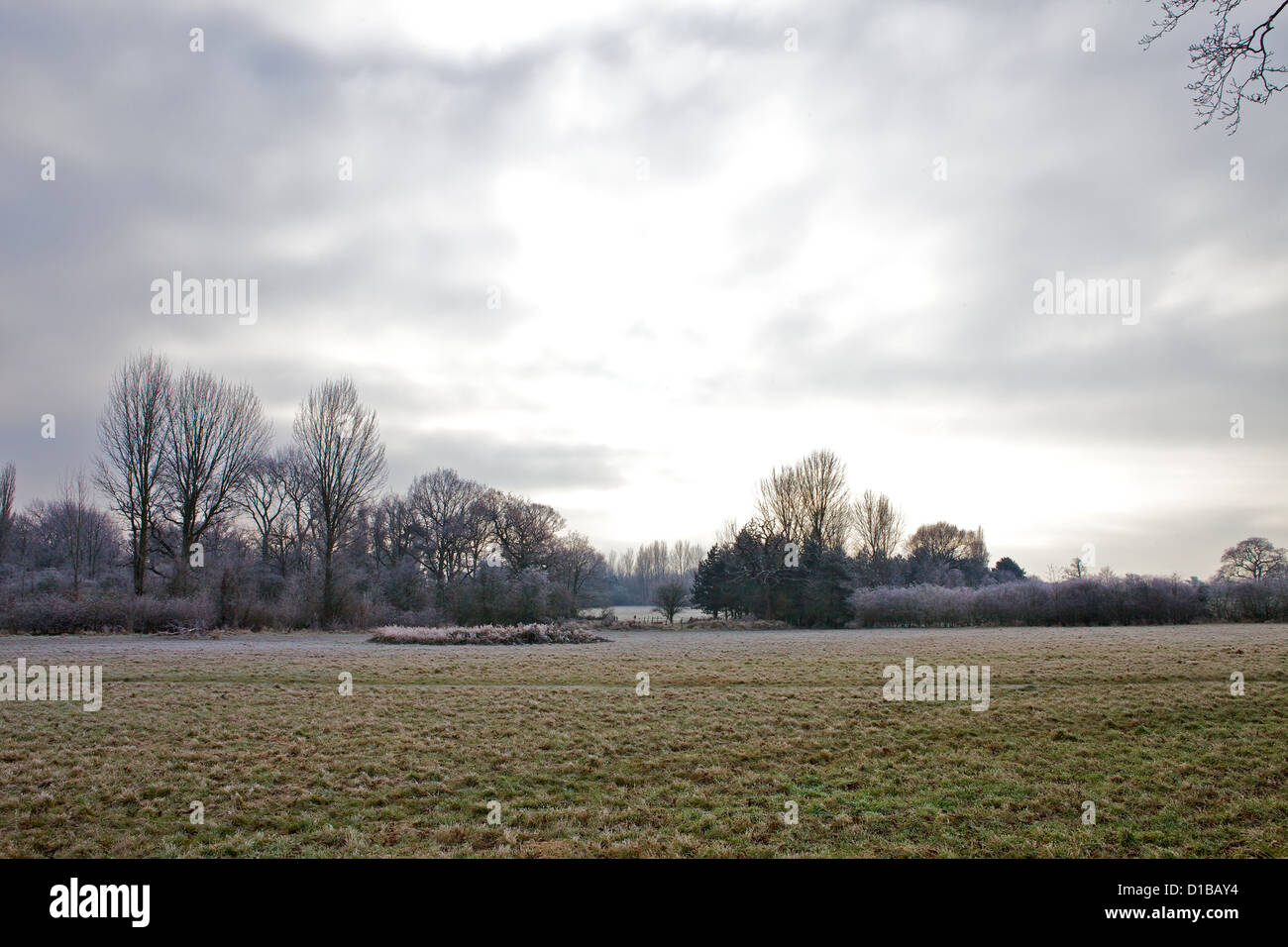 Solihull Nature Reserve behind Brueton and Malvern Parks in Solihull ...
