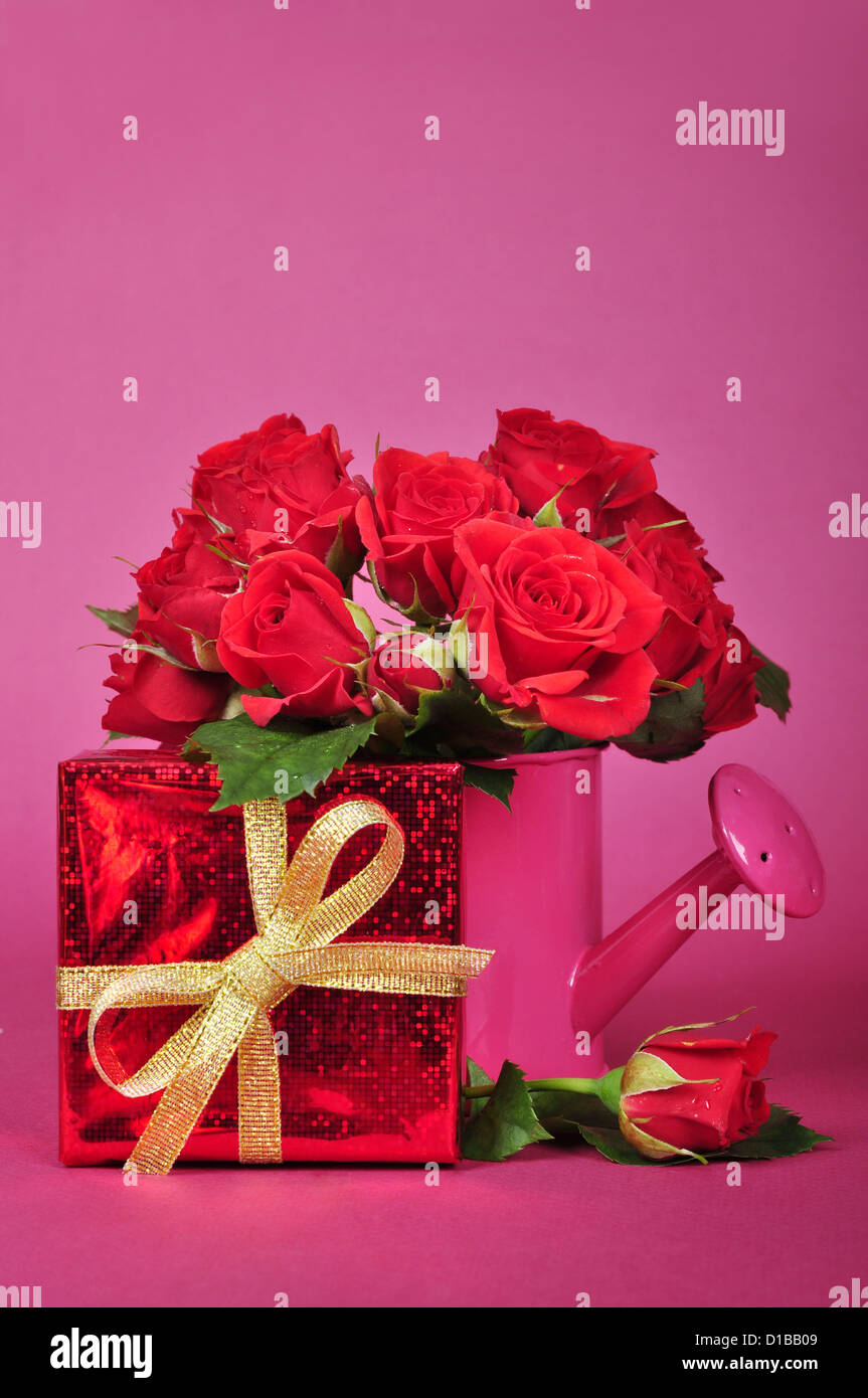 bouquet of red roses in a pink watering can with red gift box on a pink ...