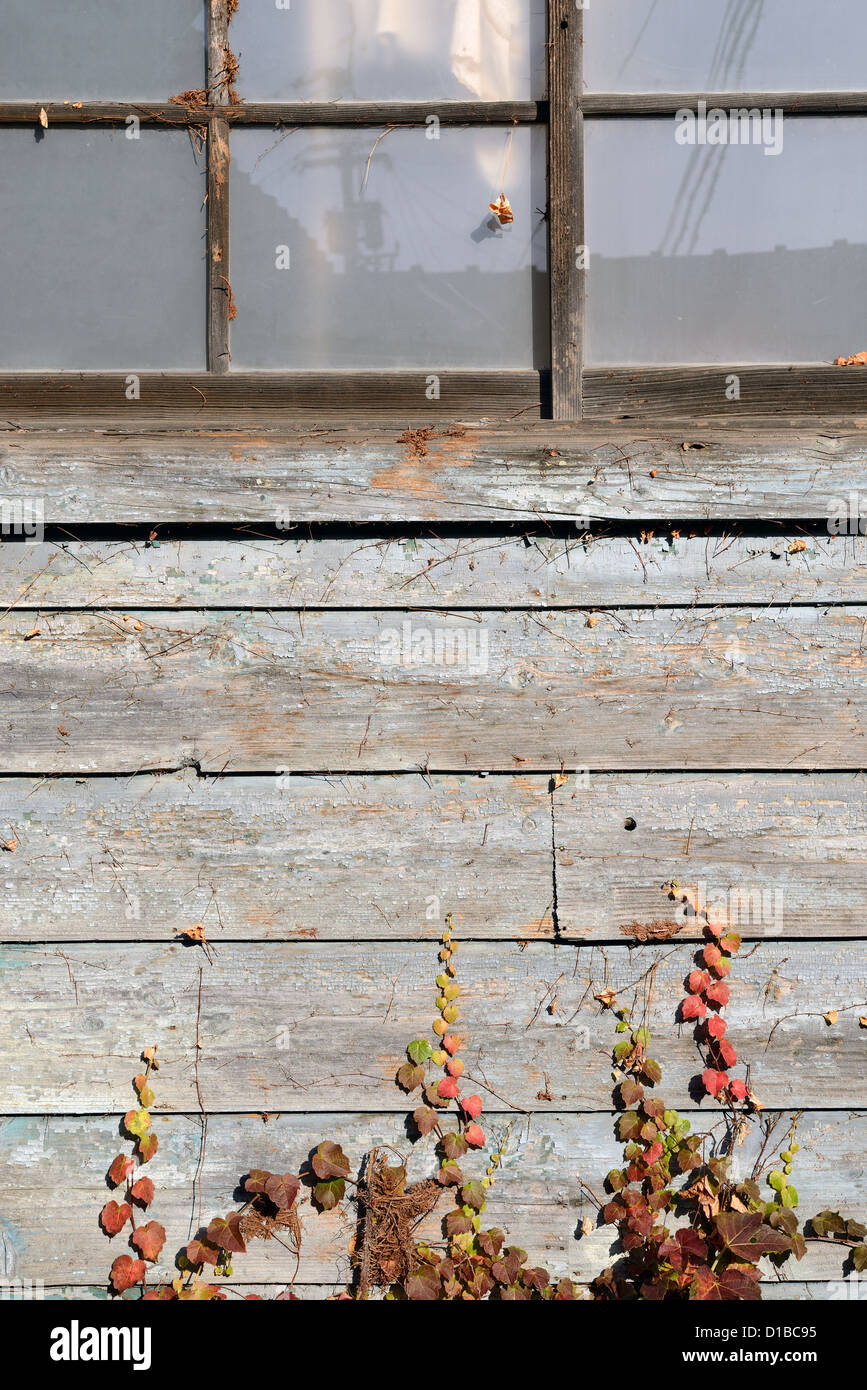 Old wooden barn fall hi-res stock photography and images - Alamy