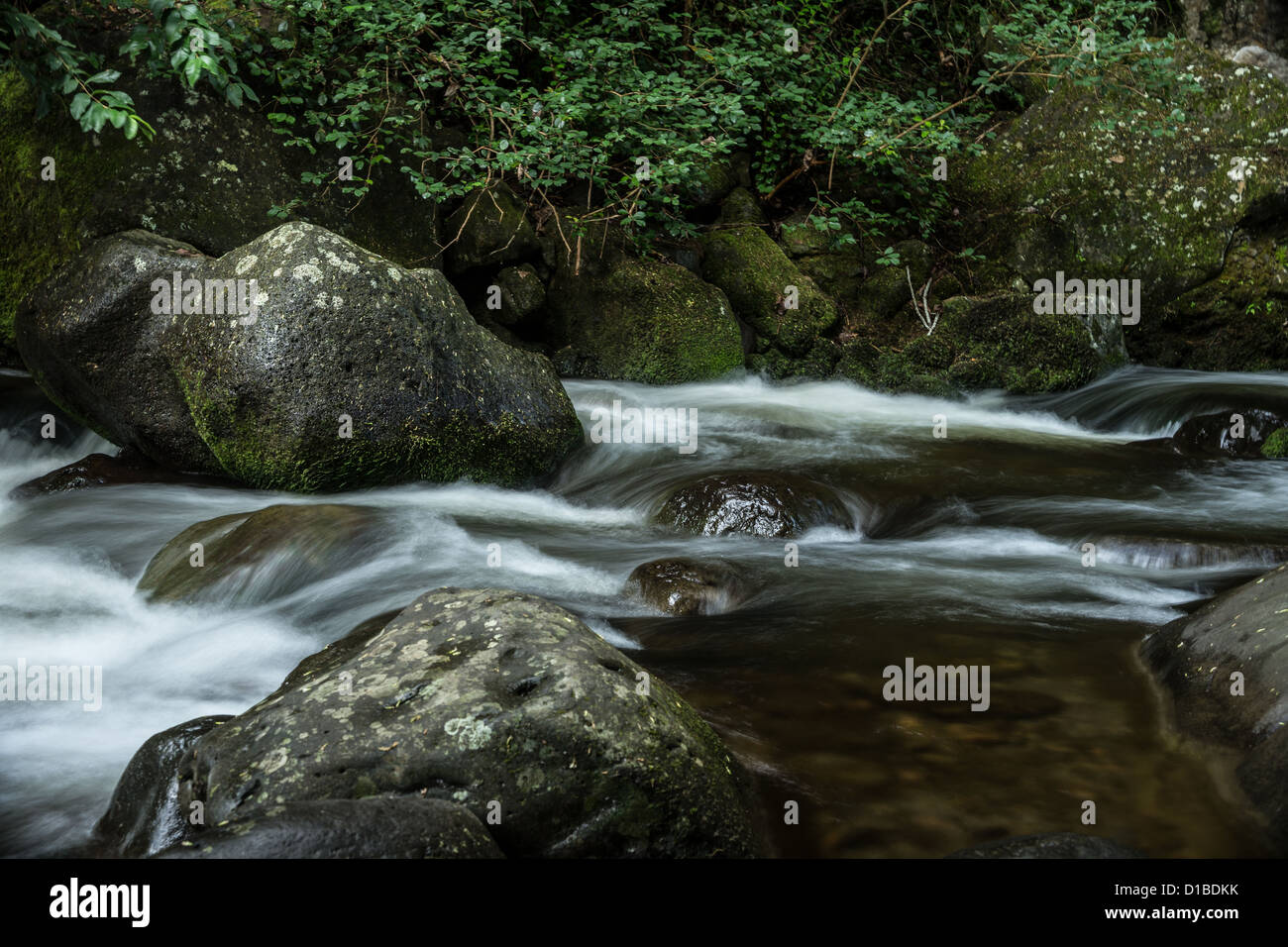 Iao valley with needle and stream hi-res stock photography and images ...