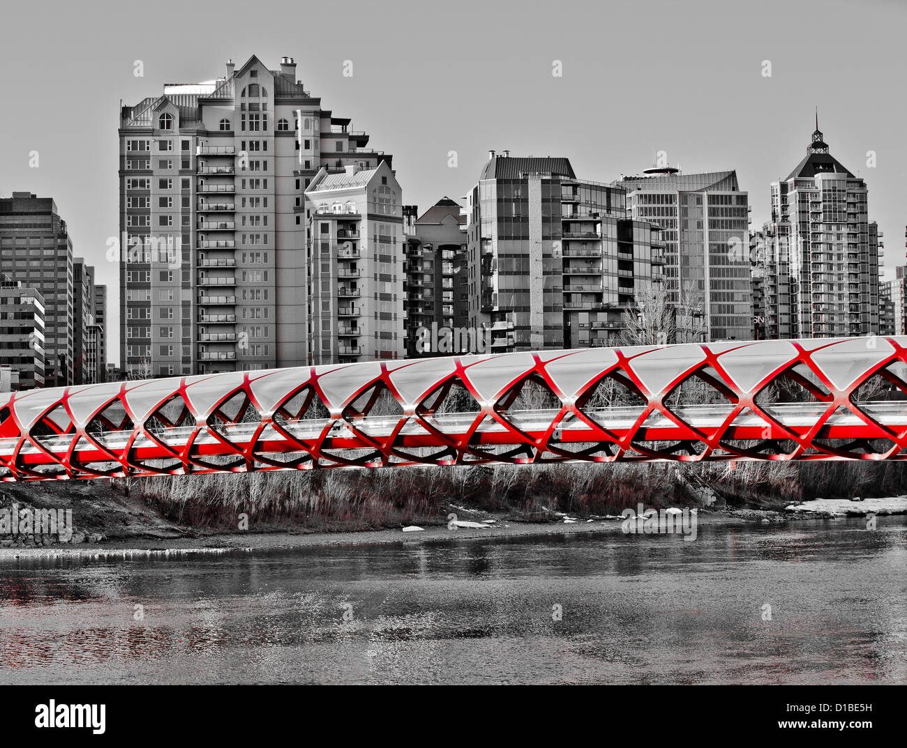 Calgary Peace Bridge Bow River Santiago Calatrava Pedestrian Bridge ...