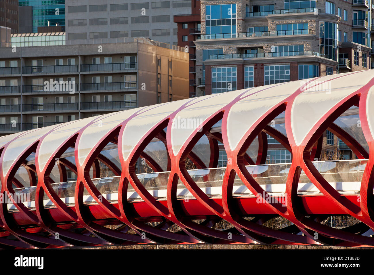 Calgary Peace Bridge Bow River Santiago Calatrava Pedestrian Bridge ...