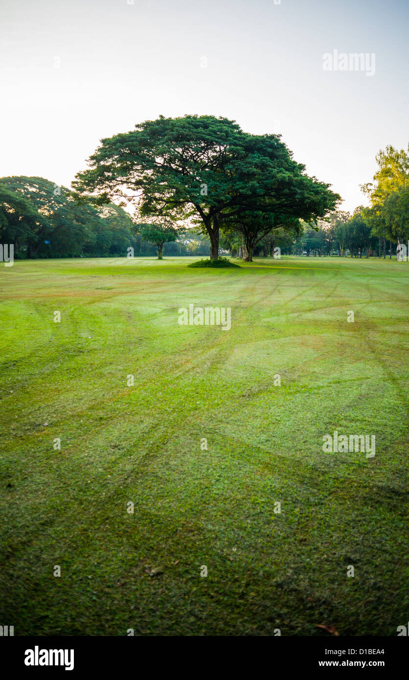 Heavenly grass hi-res stock photography and images - Alamy