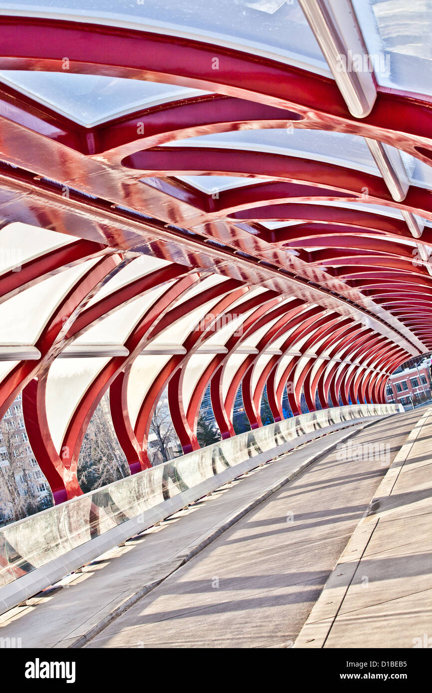 Calgary Peace Bridge Santiago Calatrava Pedestrian Bridge Stock Photo ...