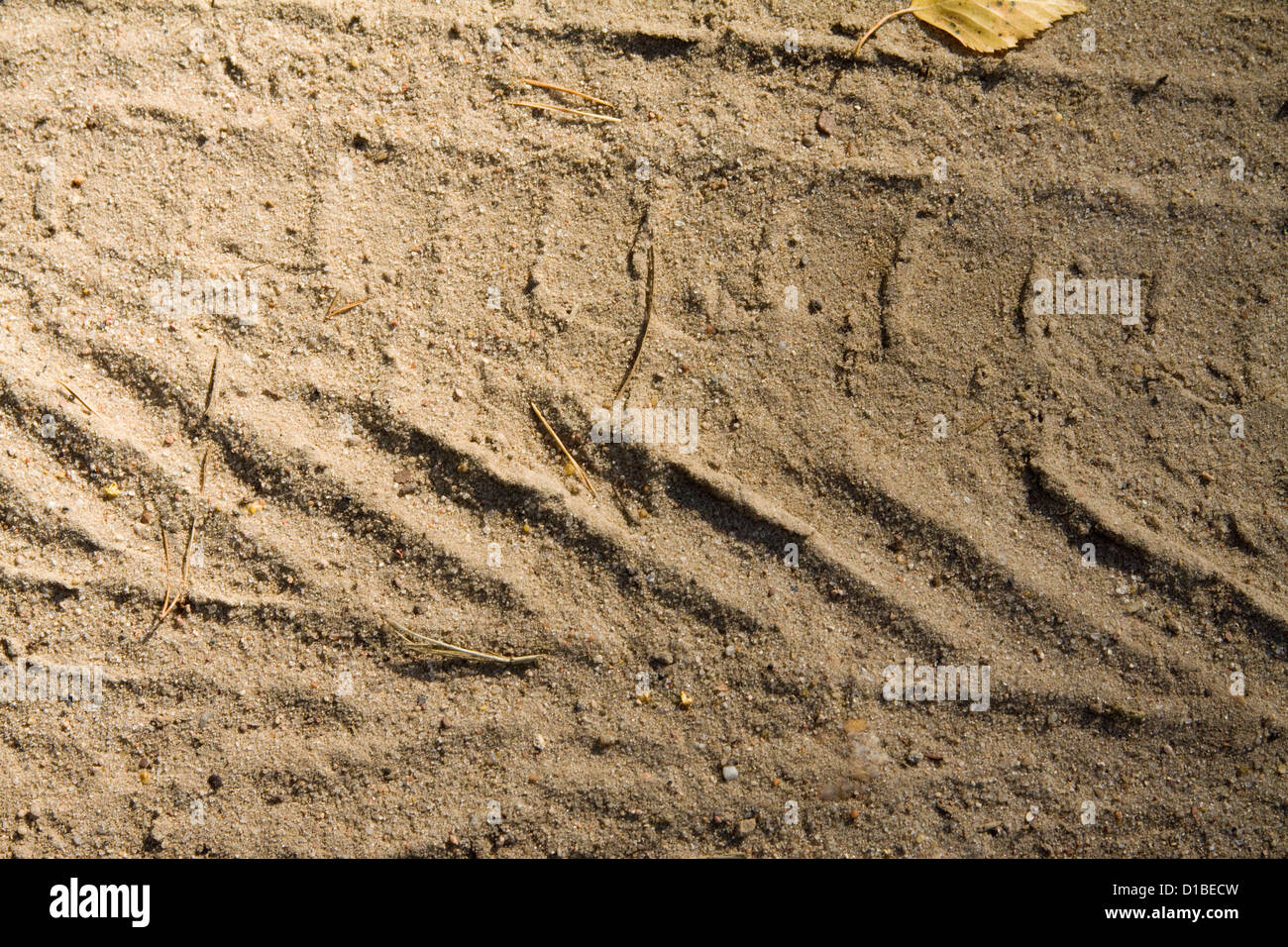Trail textures hi-res stock photography and images - Alamy