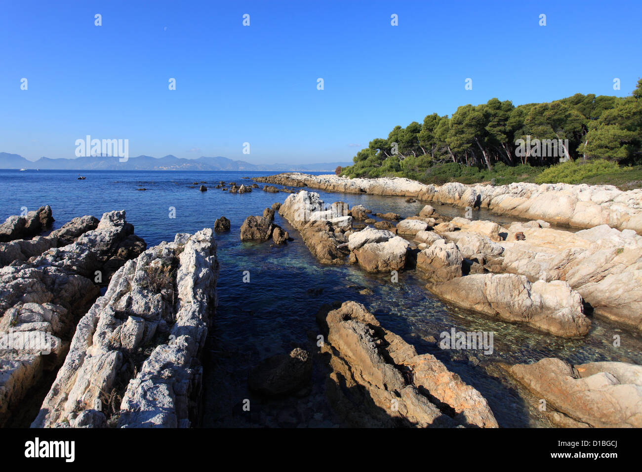 Saint Honorat Island High Resolution Stock Photography and Images - Alamy