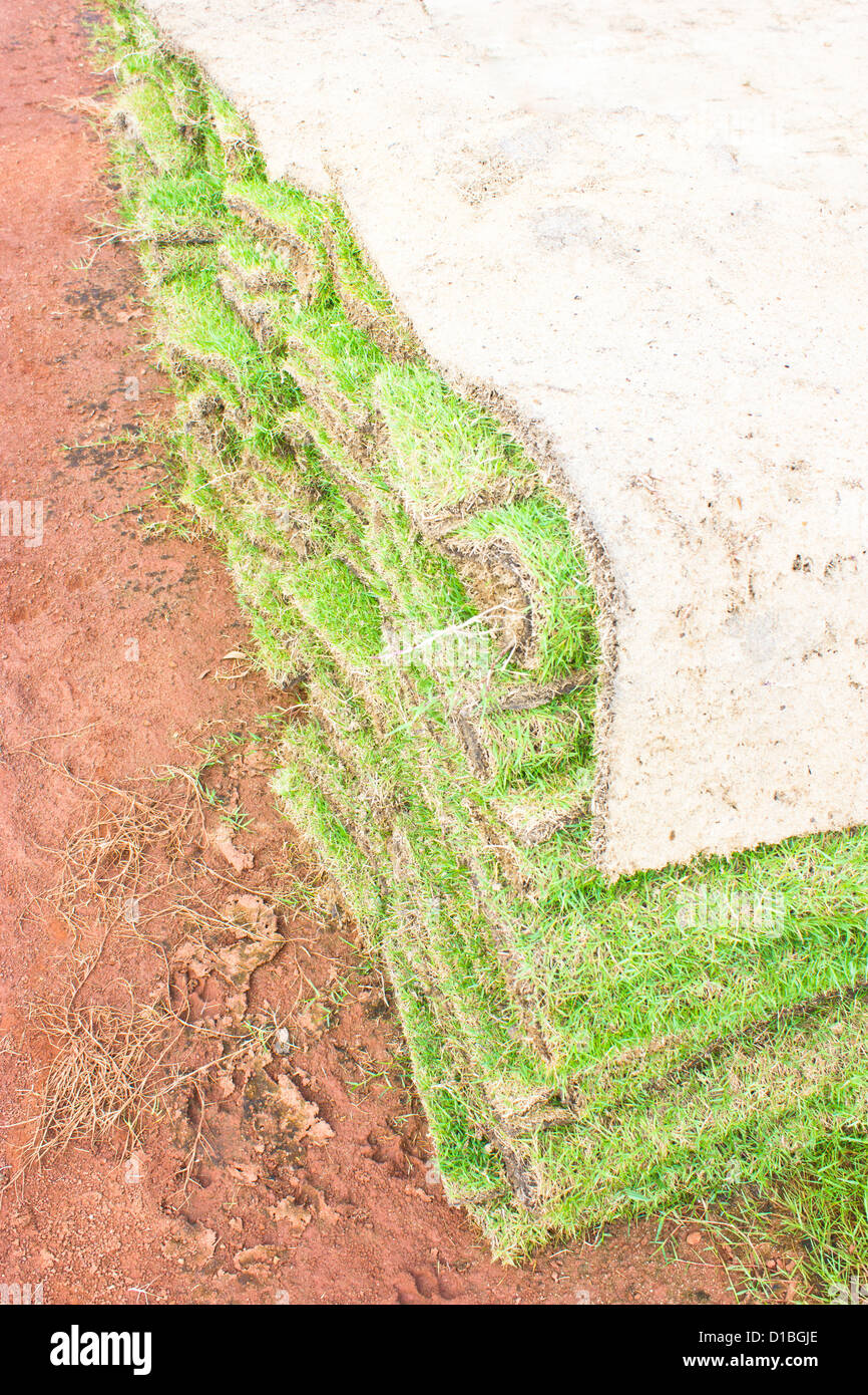 Soil layers grass hi-res stock photography and images - Alamy
