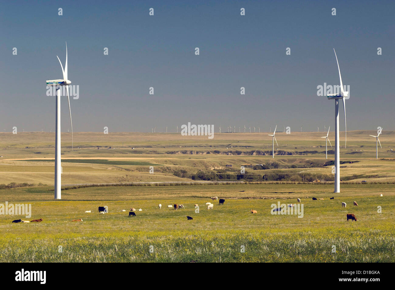 Wind farm in alberta hi-res stock photography and images - Alamy