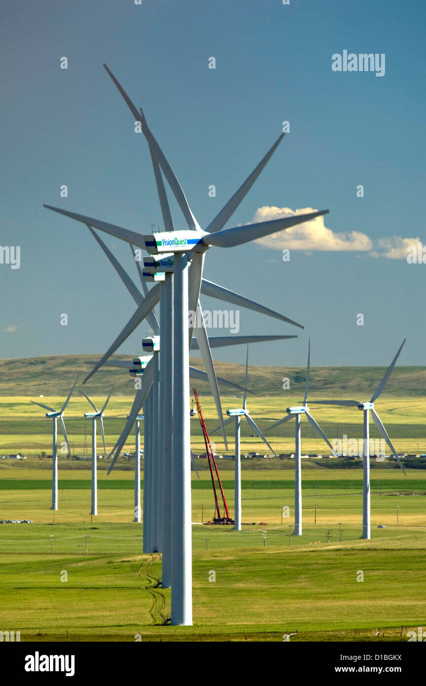 Wind farm in alberta hi-res stock photography and images - Alamy