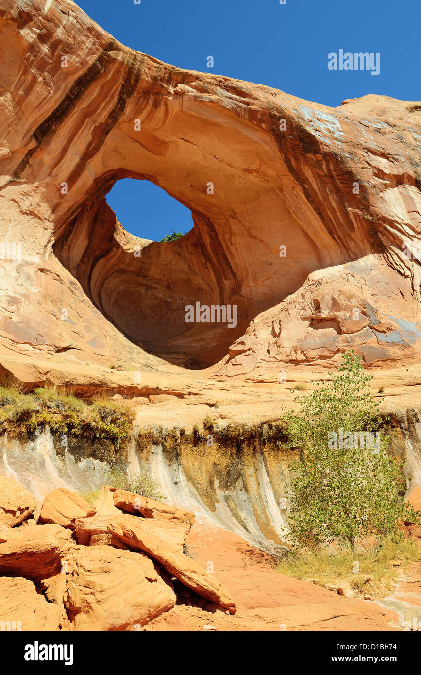 Bowtie near famous Corona Arch in Southern Utah Stock Photo - Alamy