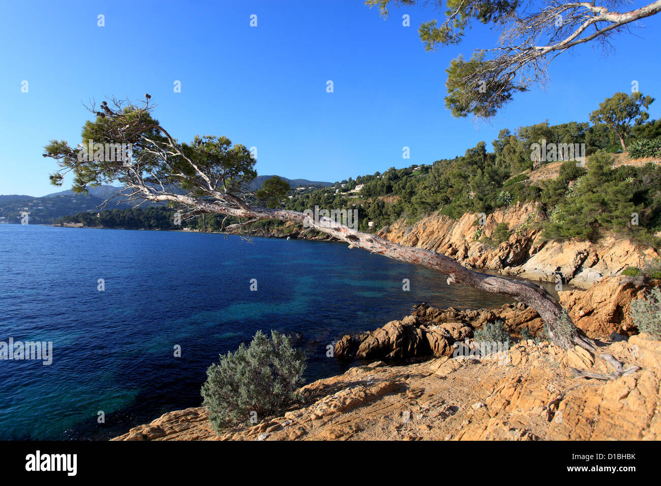 French Riviera wild coast around the city of Saint Raphael Stock Photo ...