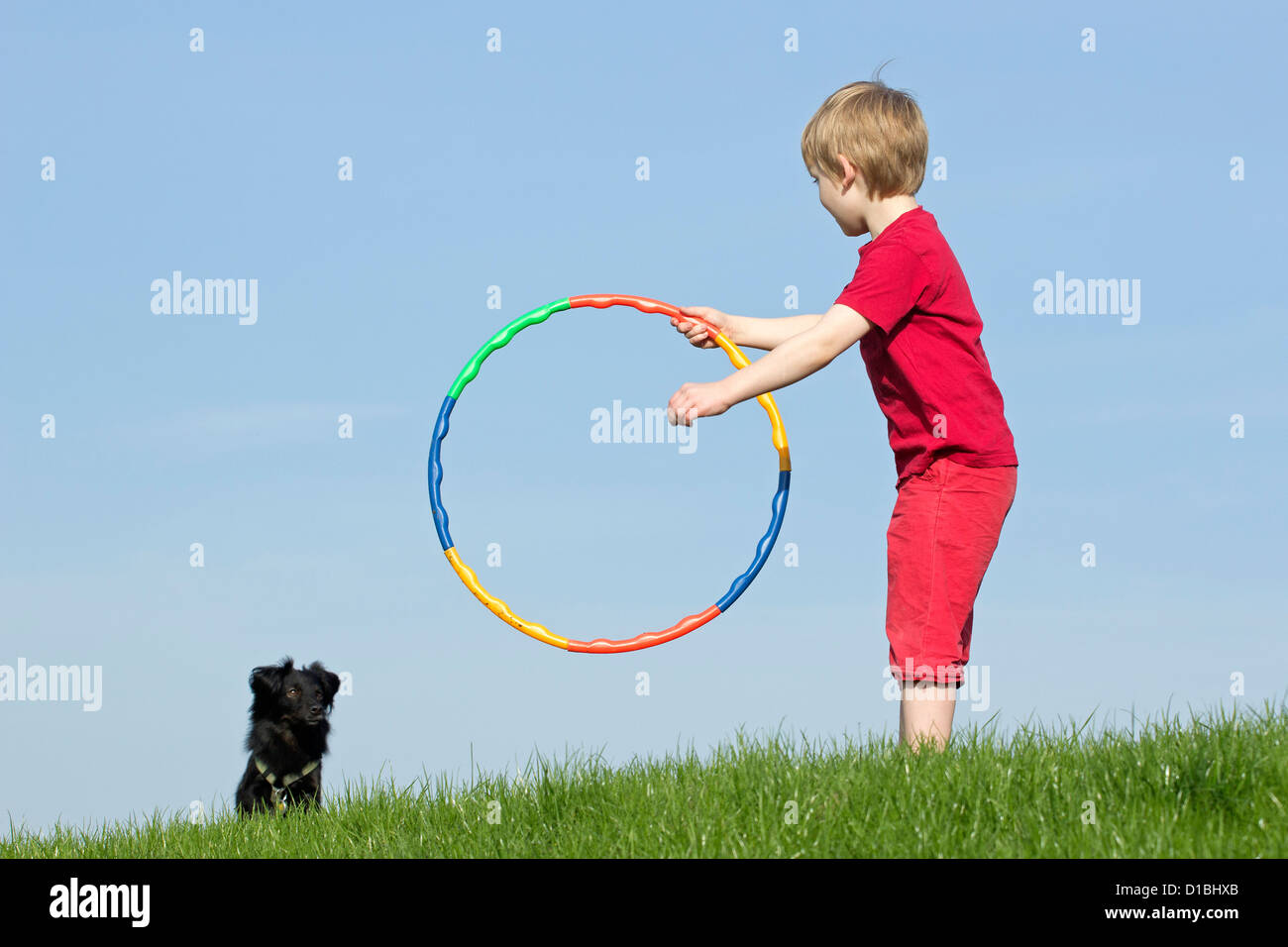 Little boy training dog hi-res stock photography and images - Alamy