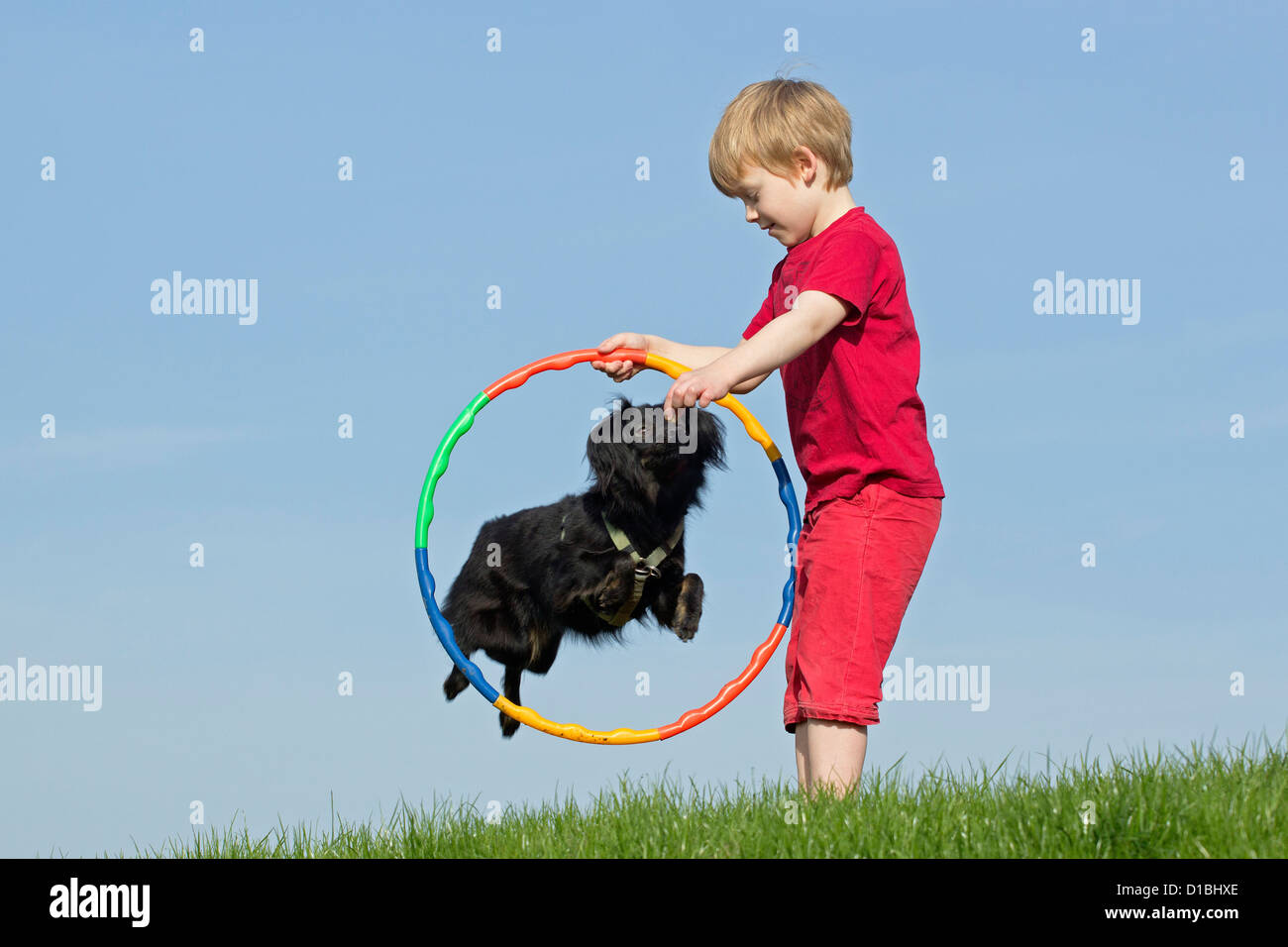 Boy with a dog hi-res stock photography and images - Alamy