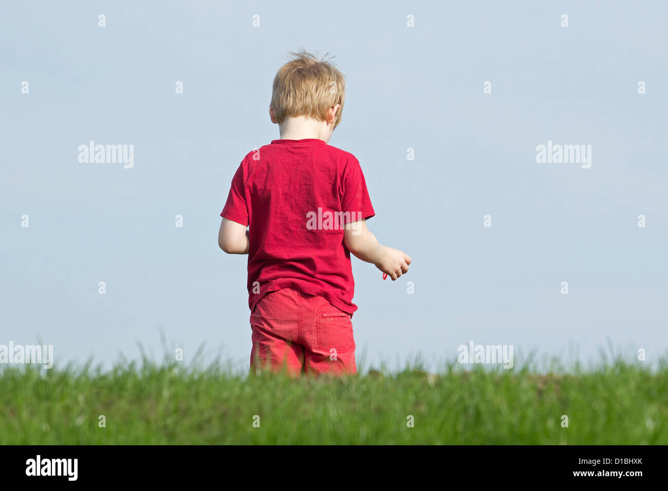 portrait of a young boy´s back Stock Photo - Alamy