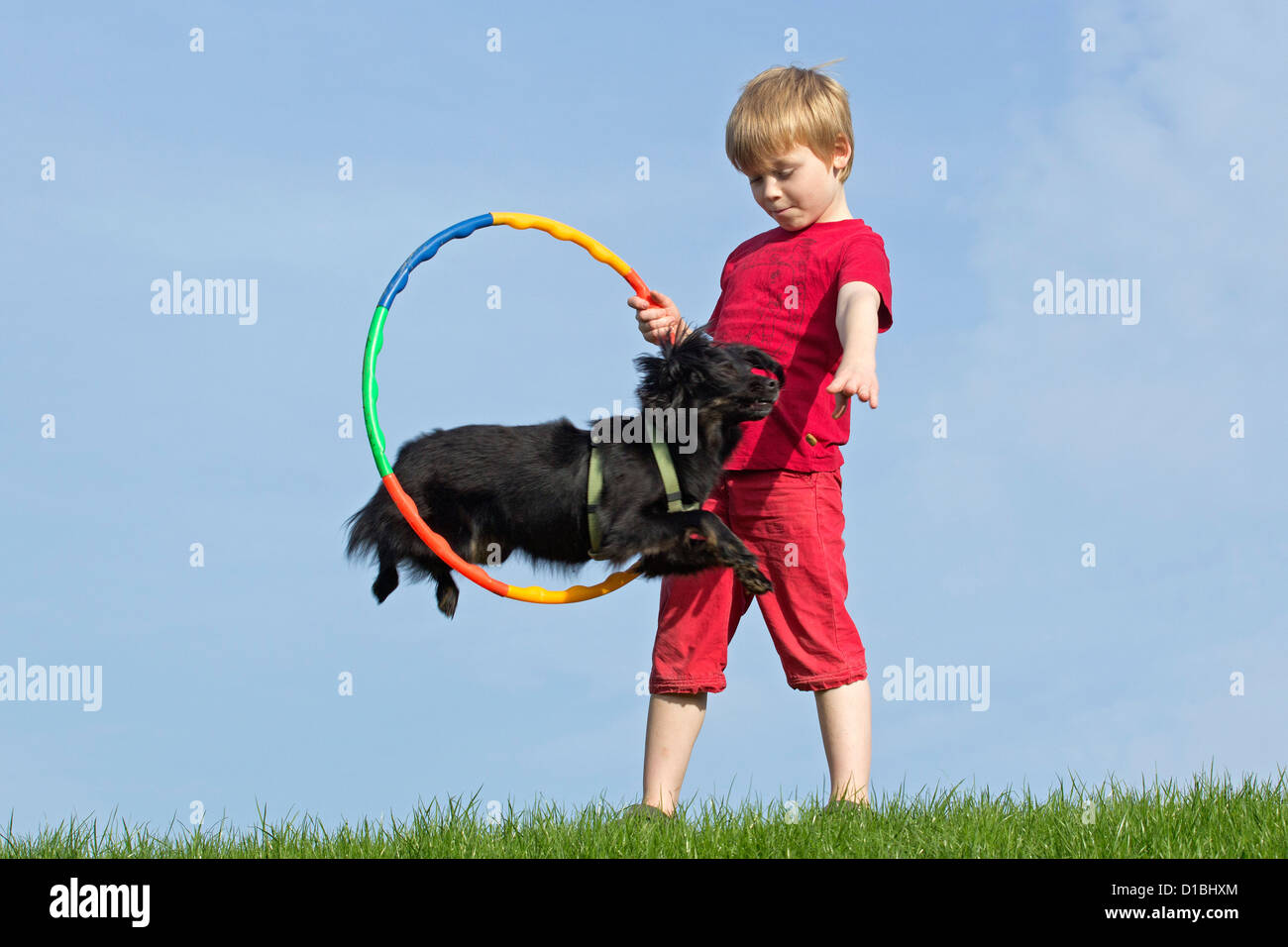 The boy with a dog hi-res stock photography and images - Alamy