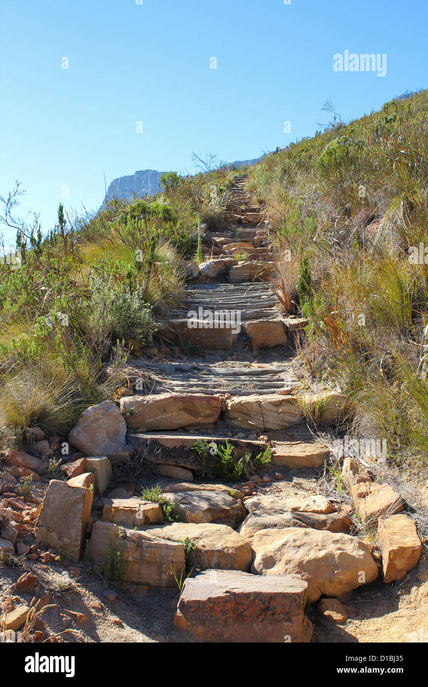 Table mountain hike path hi-res stock photography and images - Alamy