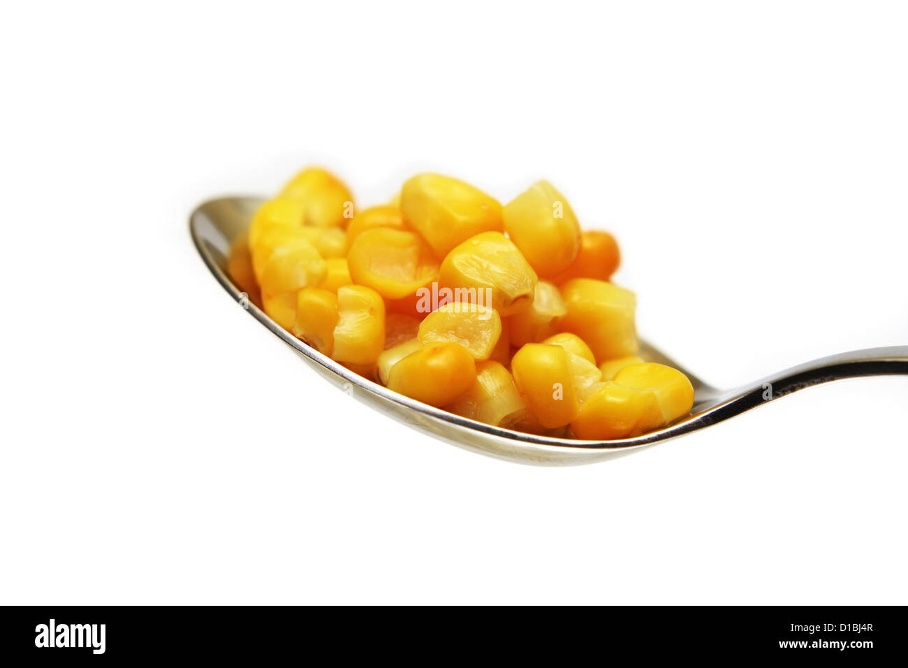 Corn in field green Cut Out Stock Images & Pictures - Alamy