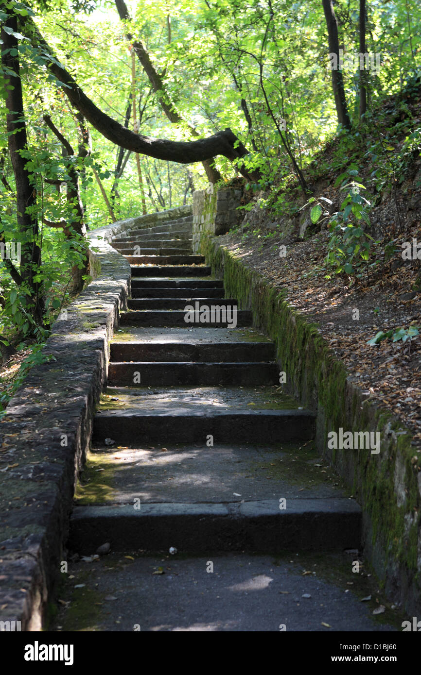Colline du chateau park hi-res stock photography and images - Alamy