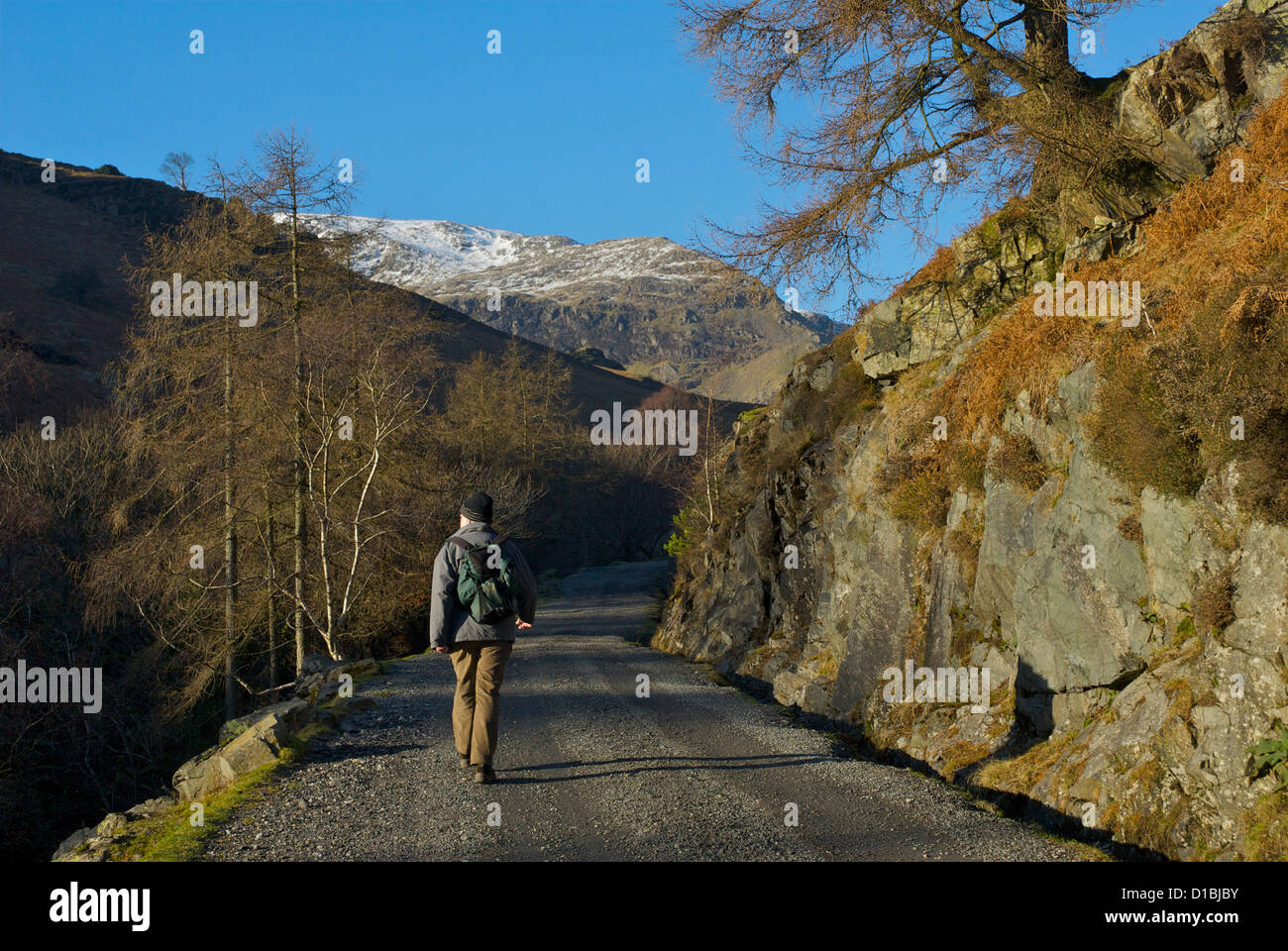 Track from Coniston village to the Coniston Coppermines, Lake District ...