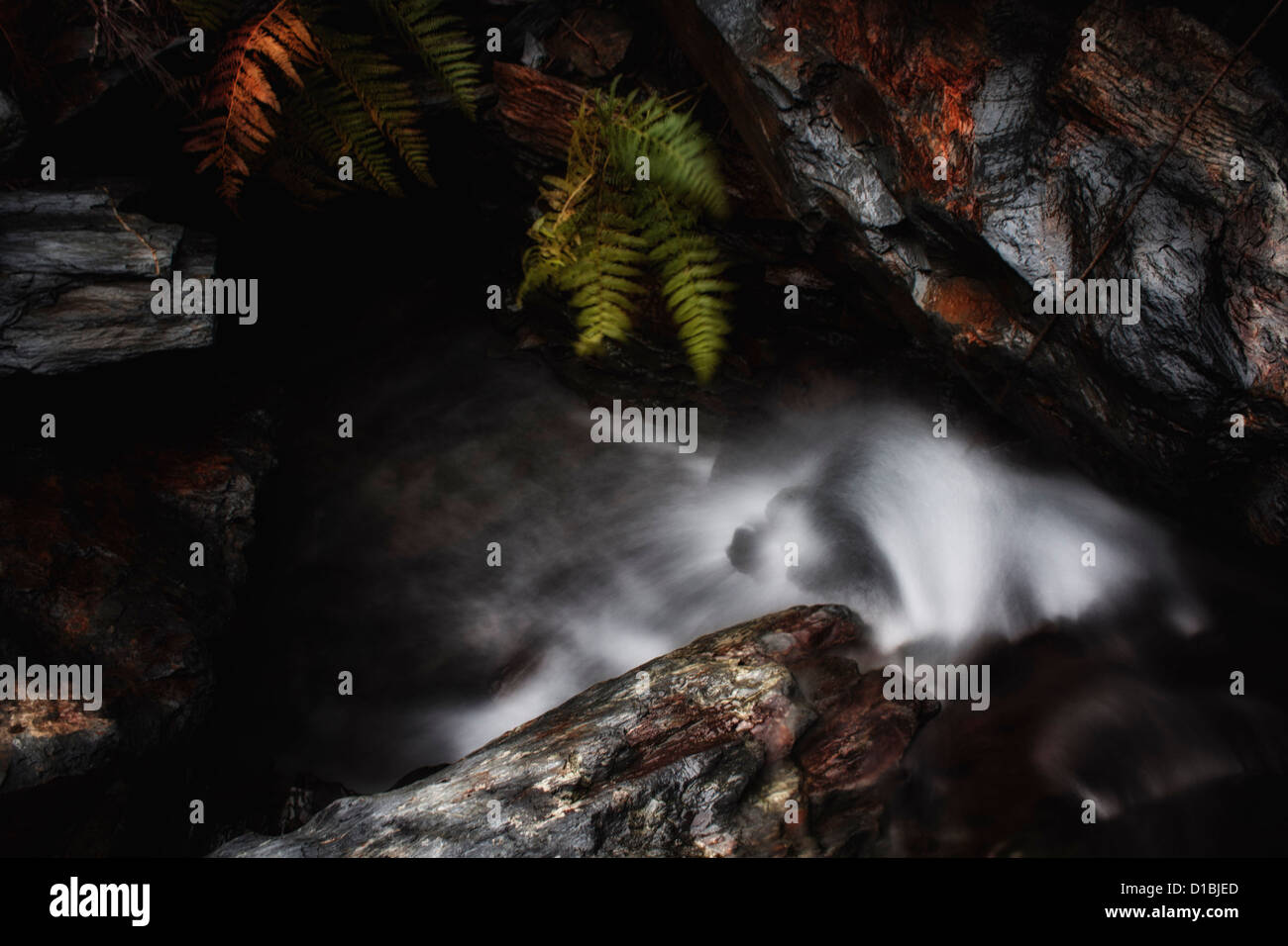 Small wet rocks hi-res stock photography and images - Alamy