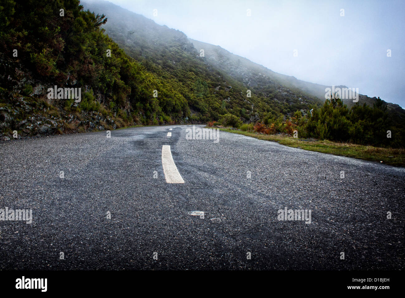 Road view in the country side Stock Photo - Alamy