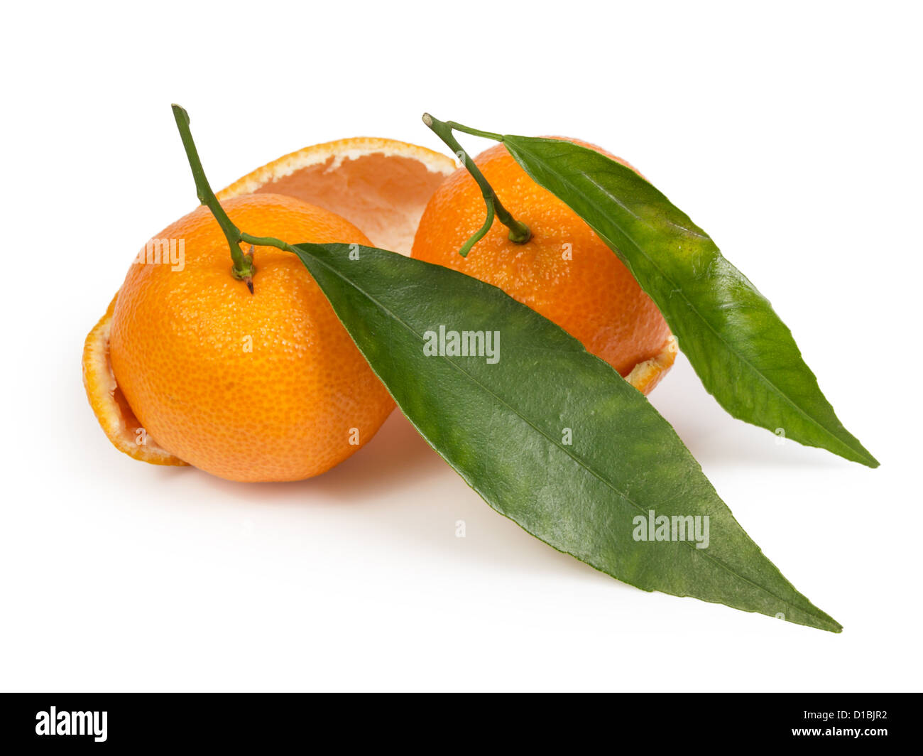 two tangerines with leaf isolated on white Stock Photo - Alamy