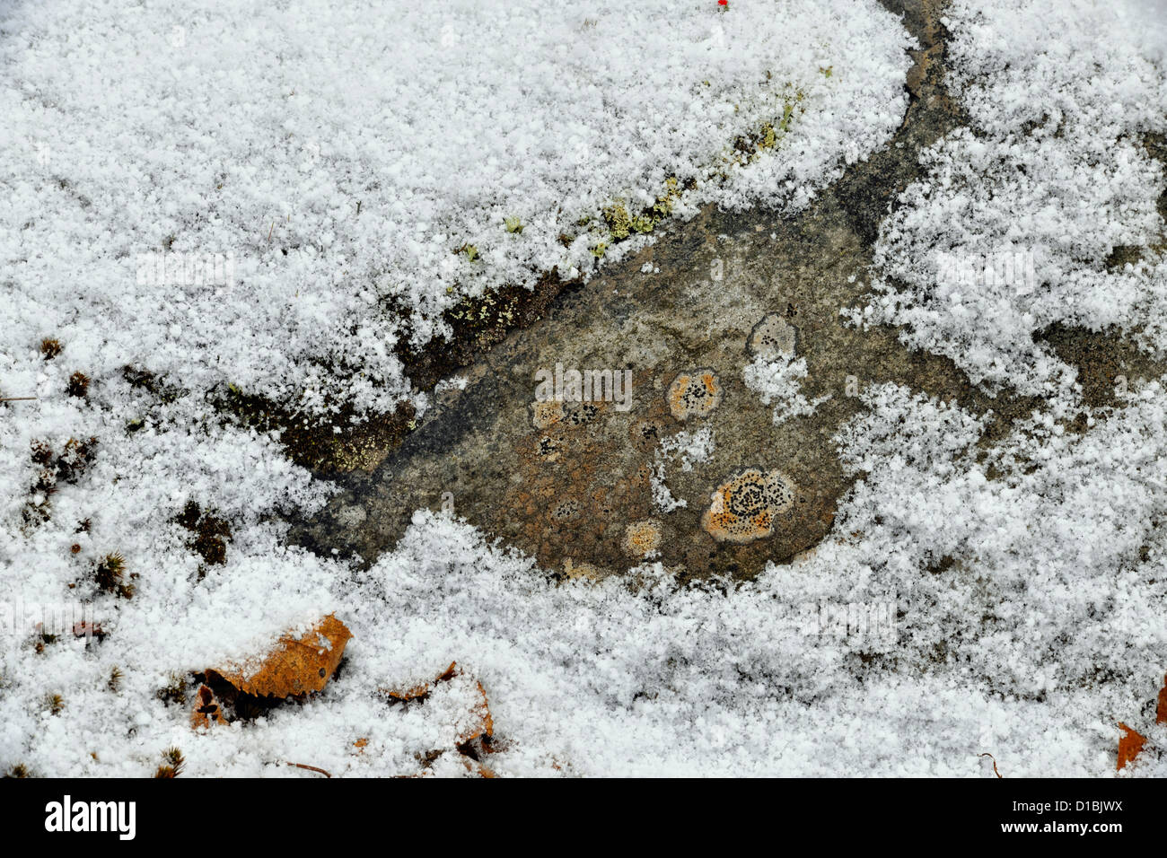 A dusting of snow on boulders in late autumn, Greater Sudbury, Ontario ...