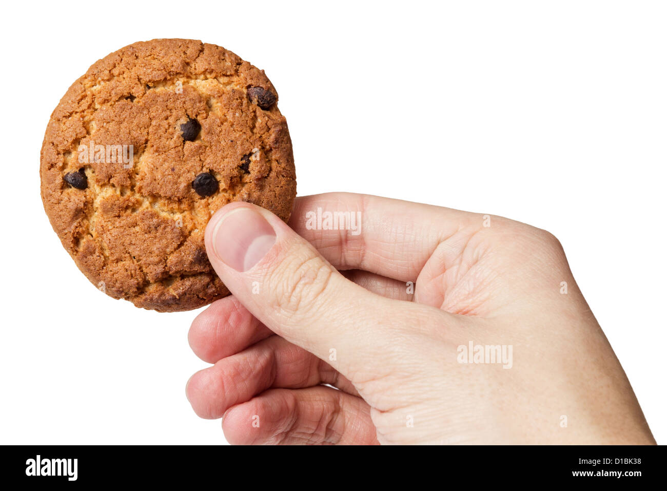 cookie with chocolate pieces in hand, isolated Stock Photo - Alamy