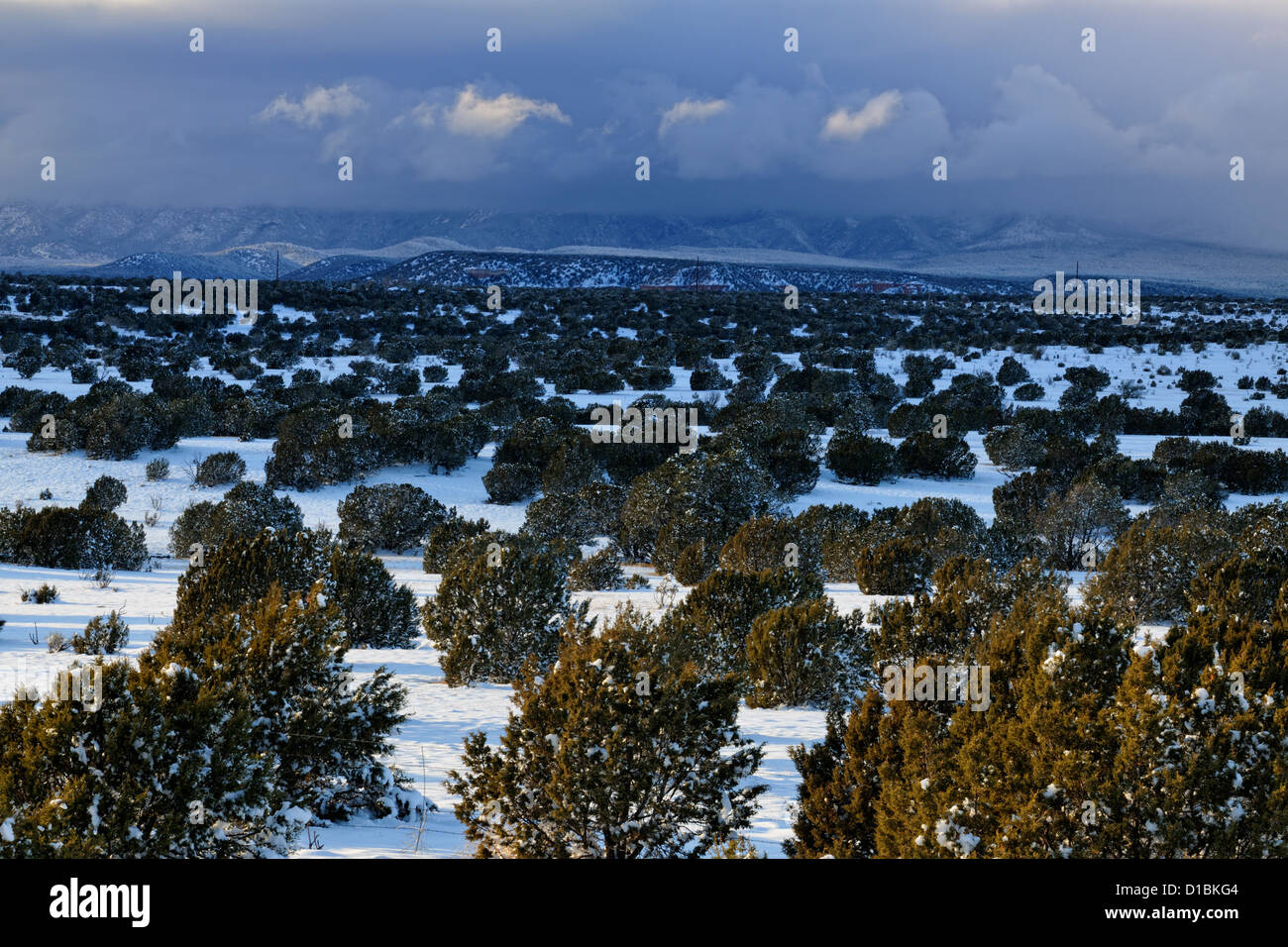 Cibola national forest hi-res stock photography and images - Alamy