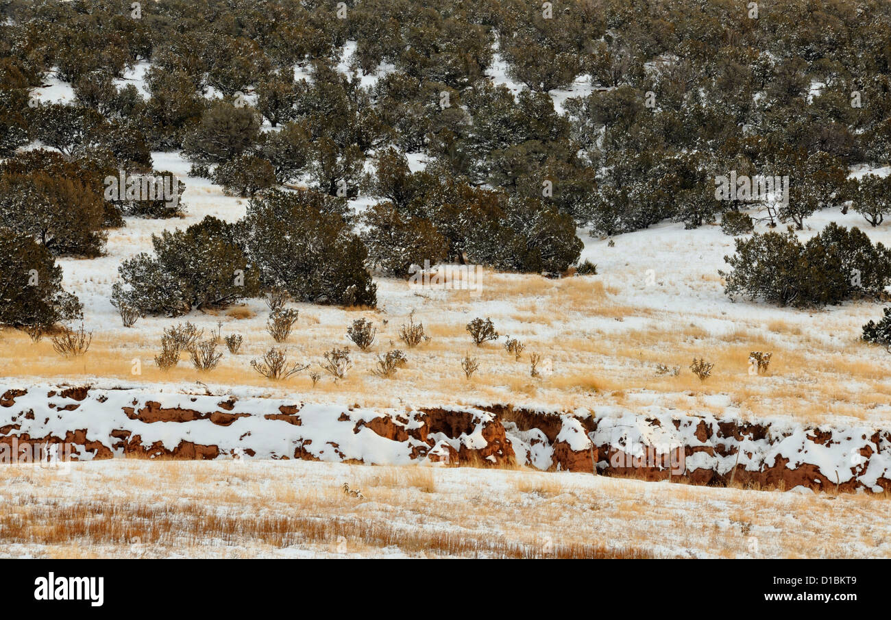 Cibola national forest hi-res stock photography and images - Alamy