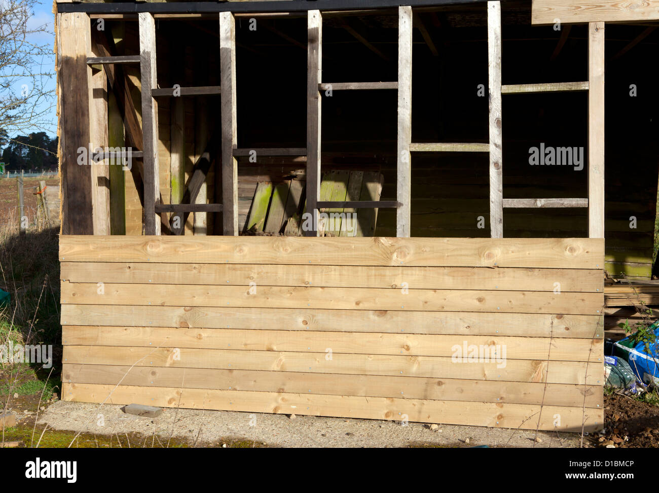 Old shed being renovated with new feather edge timber, DIY, UK Stock ...