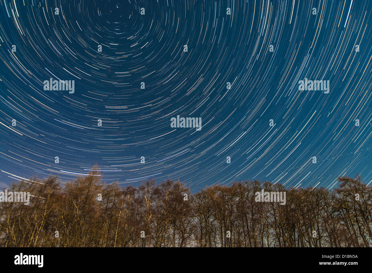 Galloway forest scotland night hi-res stock photography and images - Alamy
