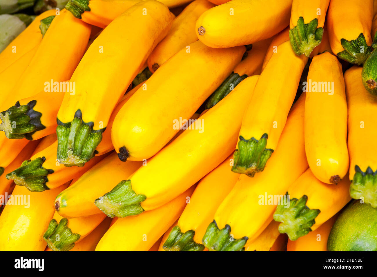 A closeup of yellow squash in a farmer's market Stock Photo - Alamy