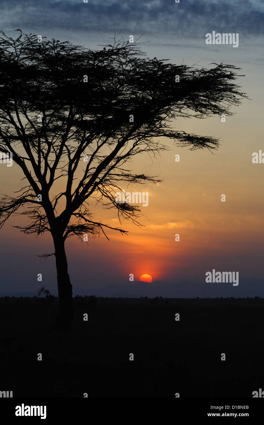 Sunset over the African plains Stock Photo - Alamy