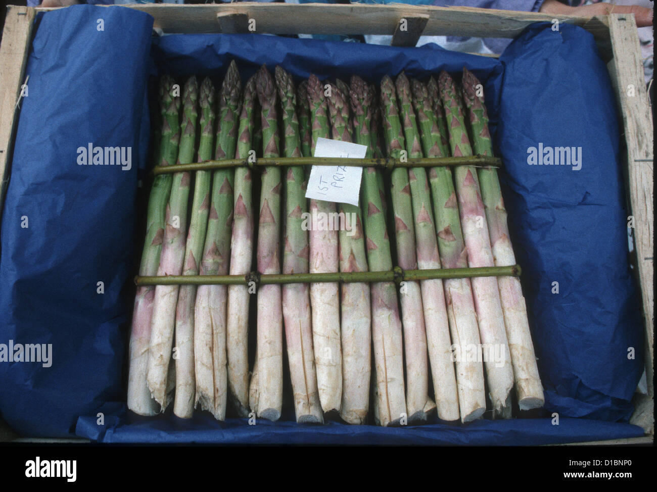 Prizewinning display of top quality asparagus Stock Photo - Alamy