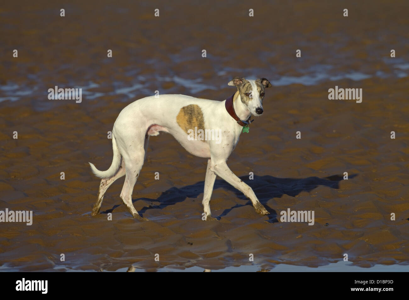 Feeling of motion hi-res stock photography and images - Alamy