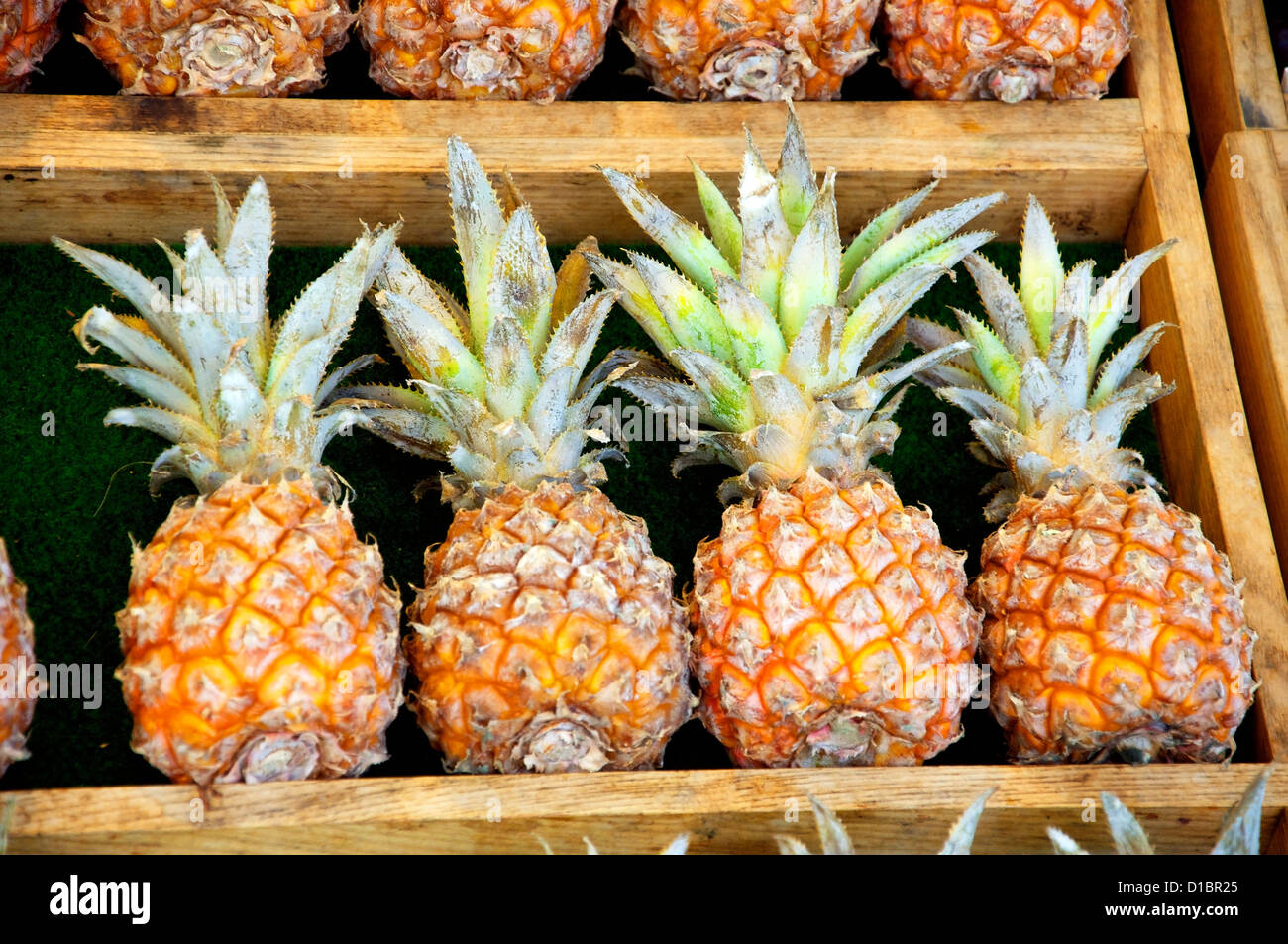 Small pineapples on display on a market stall Stock Photo - Alamy