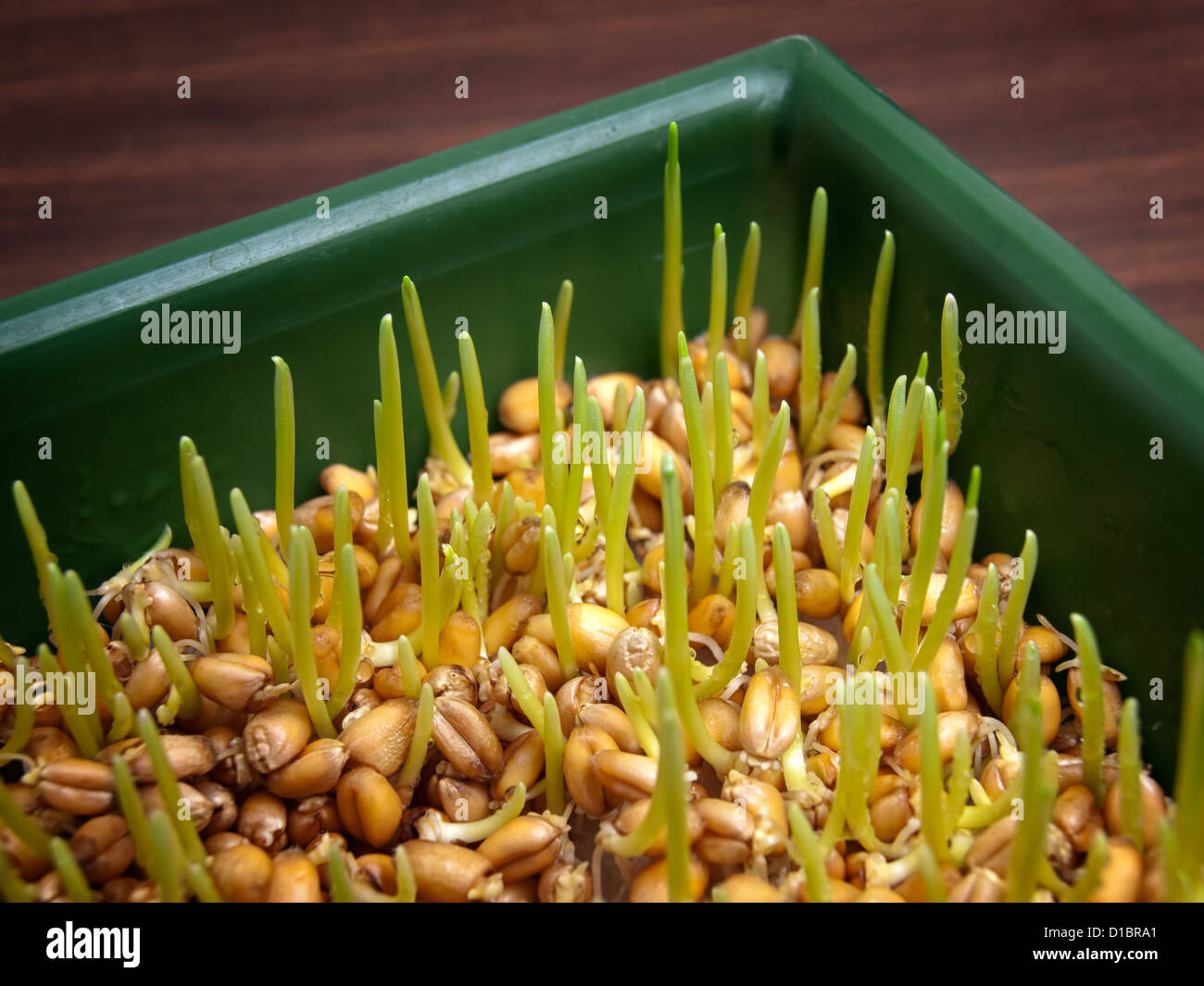 Pre Christmas Period High Resolution Stock Photography and Images - Alamy