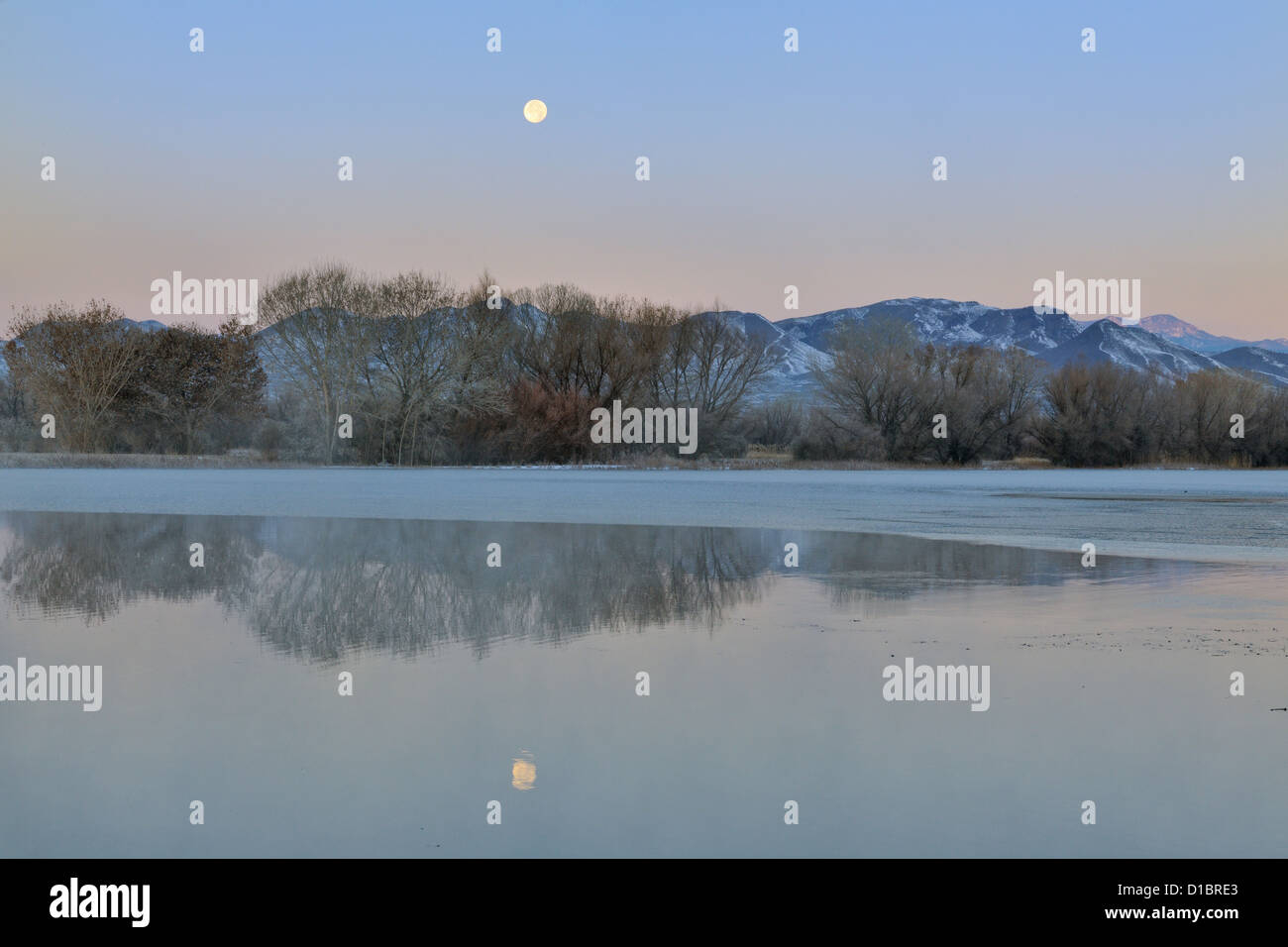Iced ponds hi-res stock photography and images - Alamy