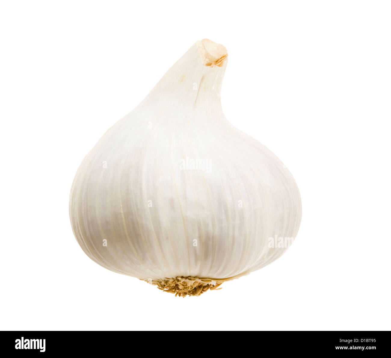 Garlic cutout hi-res stock photography and images - Alamy
