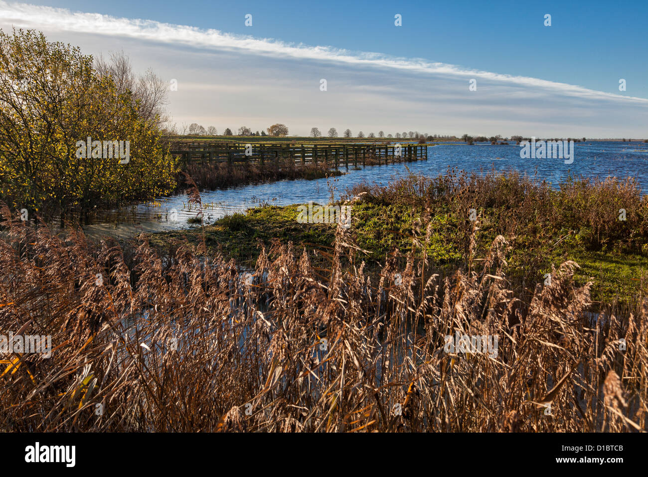 Cambridgeshire landscape hi-res stock photography and images - Alamy