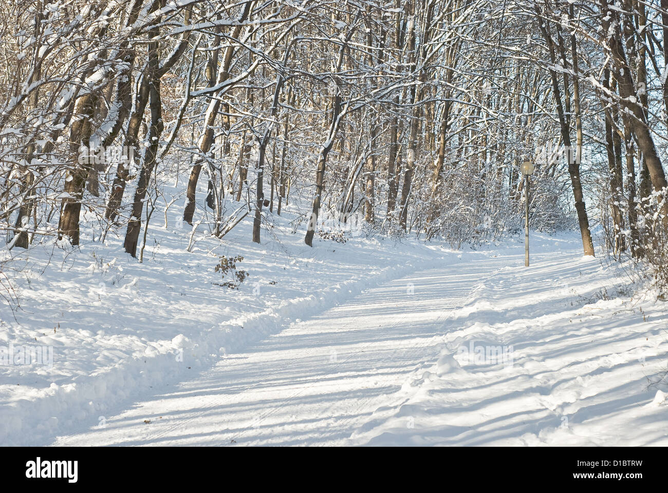 Trail trail through the forest hi-res stock photography and images - Alamy