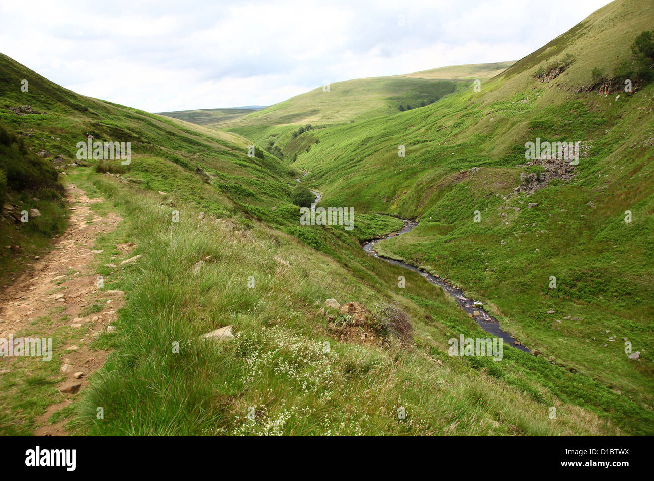 A footpath at Abbey Brook Little Howden Moor on the High Peak Estate ...