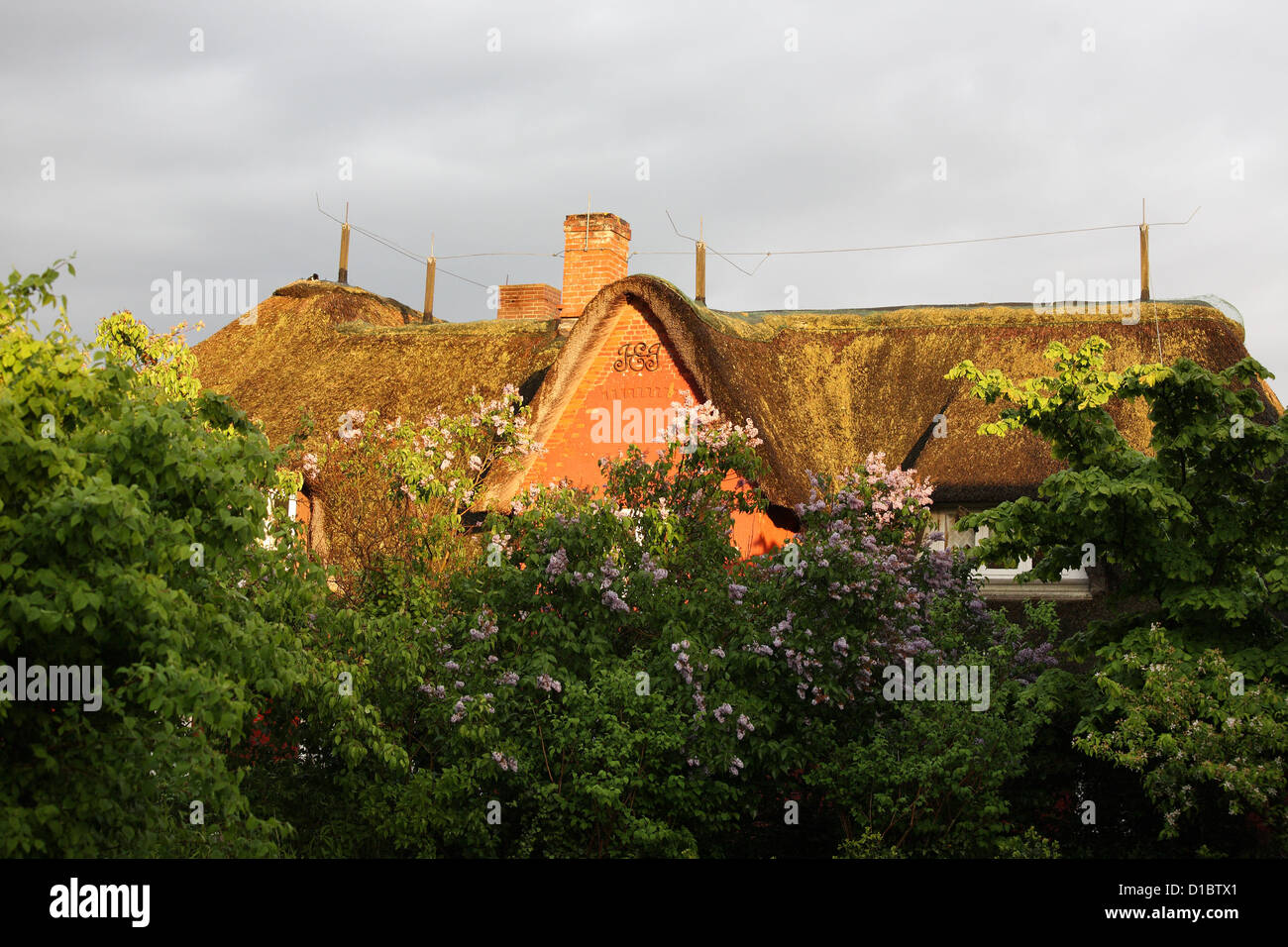 Amrum, Fog, Germany, gable frieze of a thatched house Stock Photo - Alamy