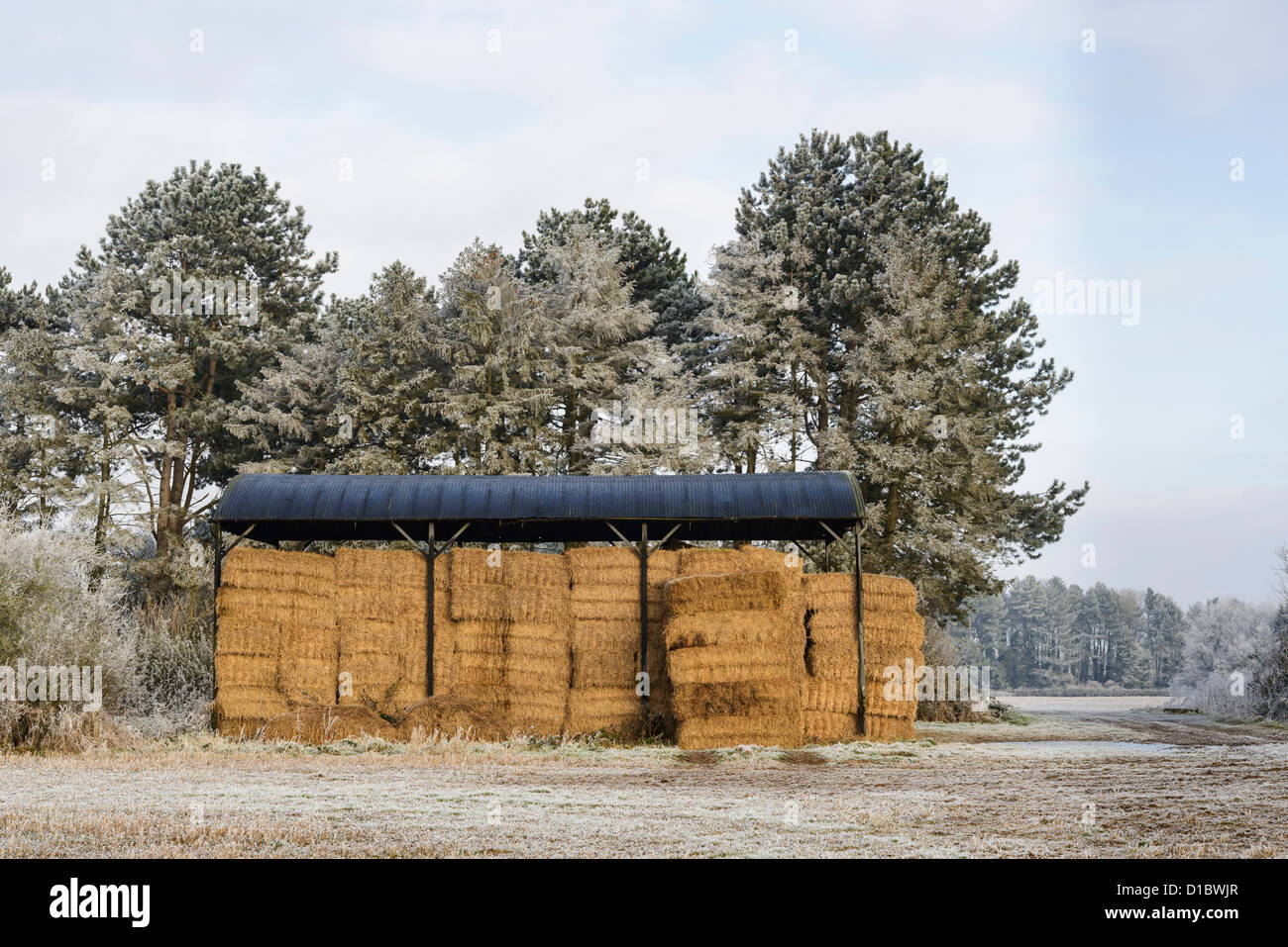 Open sided barn hi-res stock photography and images - Alamy