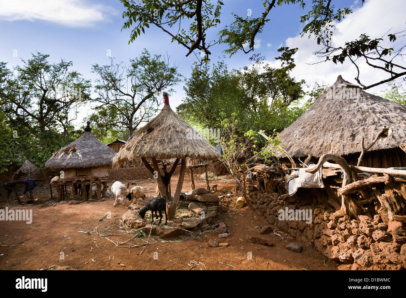 Family compound hi-res stock photography and images - Alamy